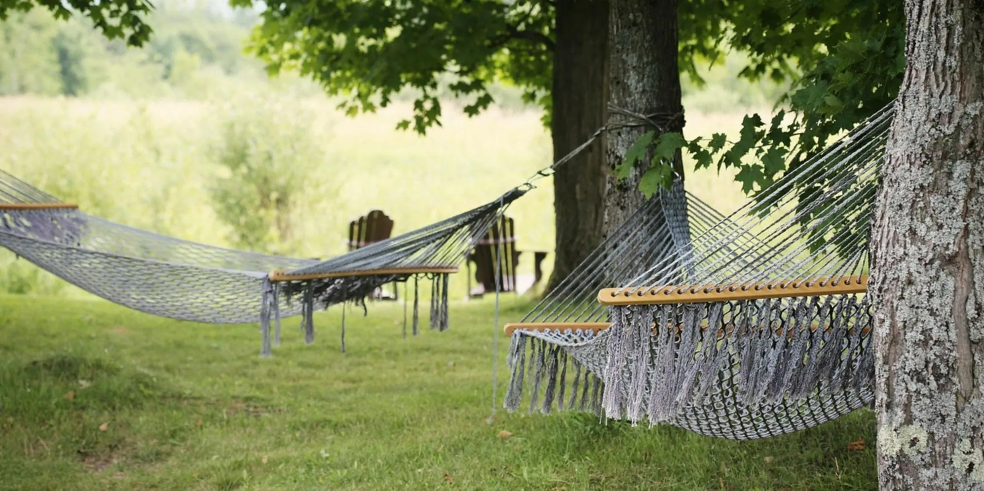 The Radical Art of Rest: The Hidden Power of Slowing Down